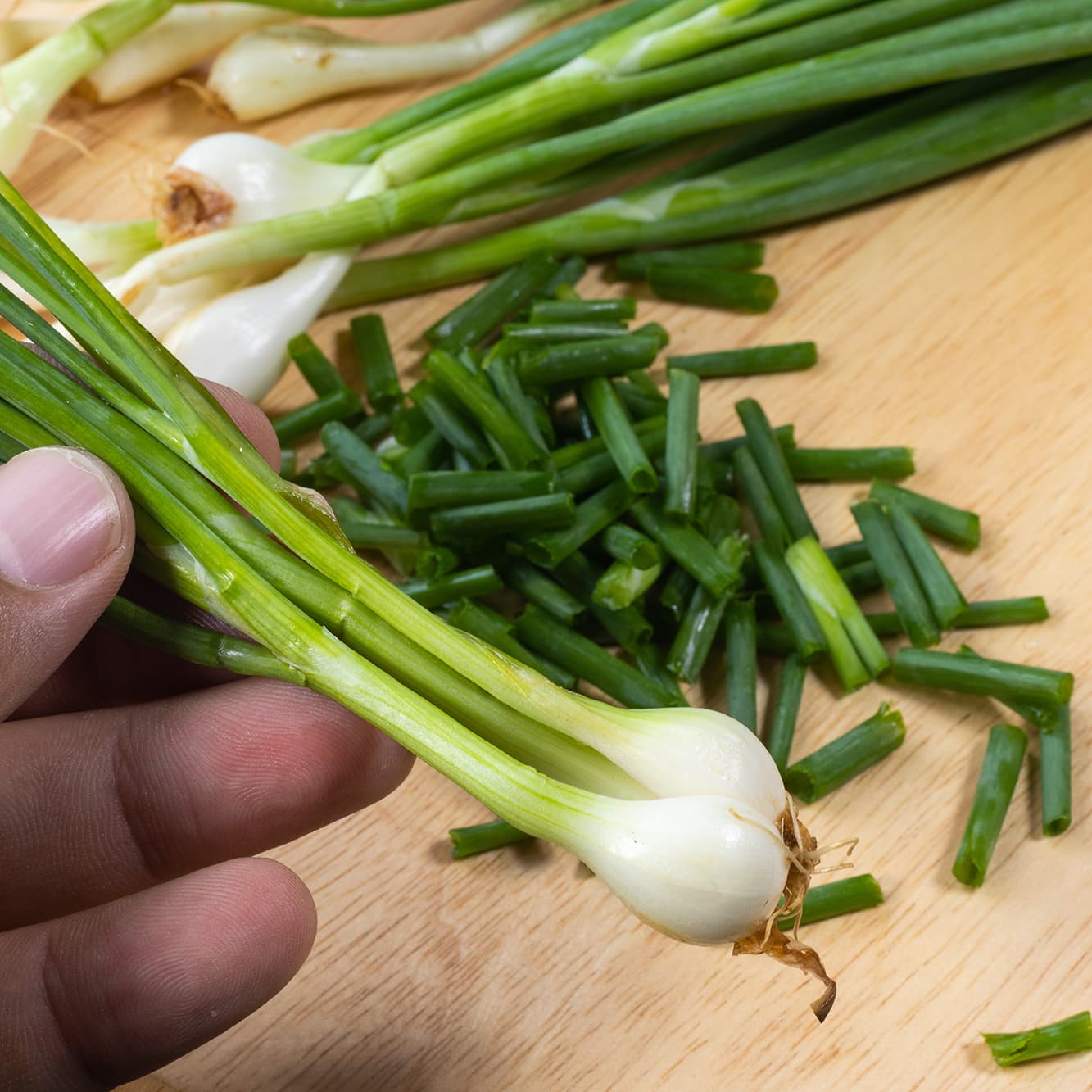 Makua ja terveyttä sipuleista: Sipulin tarina suomalaisessa keittiössä